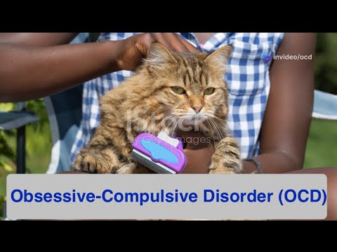 Obsessive Compulsive Disorder (OCD) in humans, animals #subscribe #veterinaryeducation #veterinarian