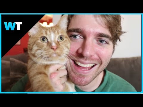 Shane Dawson APOLOGIZES For CAT JOKE