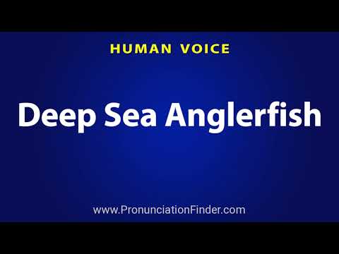 How To Pronounce Deep Sea Anglerfish