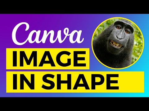 How to Put Image In Shape in Canva