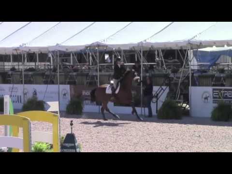 Zippo Hamptons Friday Adult Jumpers