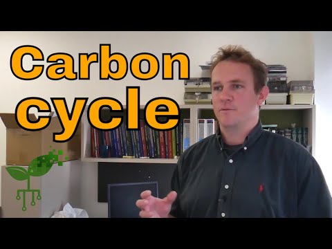 The Carbon cycle | Earth Processes | meriSTEM