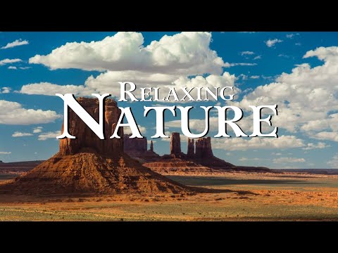Relaxing Nature | Scenic Relaxation Film with Calm Music