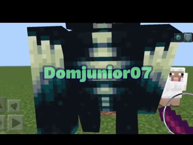 Doms Minecraft expansion pack/Minecraft extra Minecraft Mod