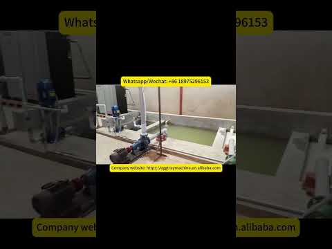Video of the vibrating screen and pulp pool #eggtraymakingmachine #paperpulpmoldingmachine #package