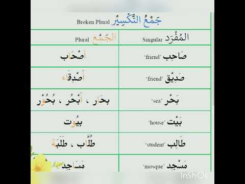 Arabic broken plural (jama takseer)#arabicsentences #youtubeshorts #viral #shots #reels