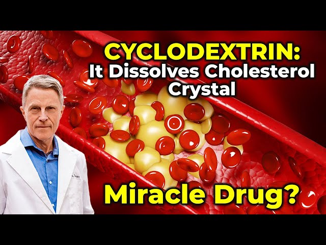 Cyclodextrin: A Potential Solution for Cholesterol Crystals? | Galaxy.ai