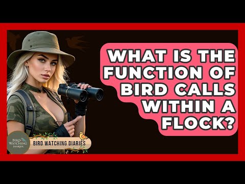What Is The Function Of Bird Calls Within A Flock? - Bird Watching Diaries