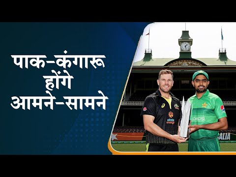 Pakistan-Australia होंगे आमने-सामने #shorts | Dainik Bhaskar Hindi | दैनिक भास्कर हिंदी