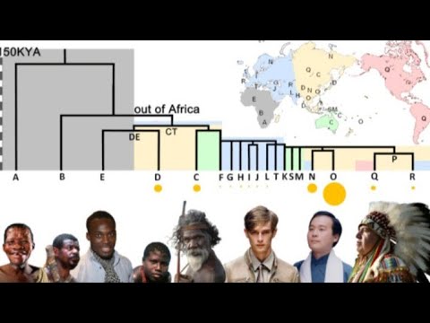 The Uncovering of All Lineages: Facts & DNA‼️