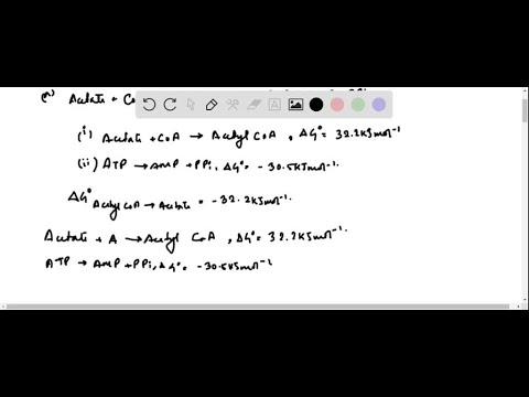 Synthesis of the activated form of acetate (acetyl-CoA) is carried out in an ATP-dependent process:…