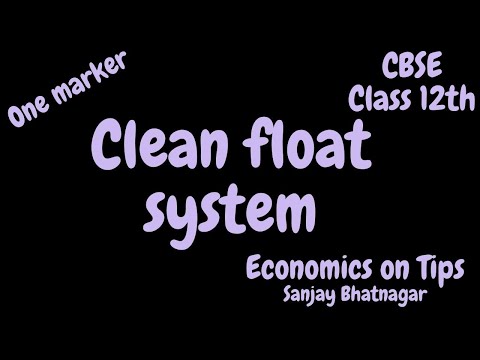 🤔🤔Balance of Payment-Clean float system-Macroeconomics Class 12th#economics#shorts#macroeconomics