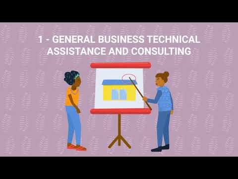 BUSINESS/PARTNERS Technical Assistance Programme