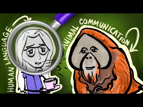 Human language as animal communication – Can Animals Grammar? #7
