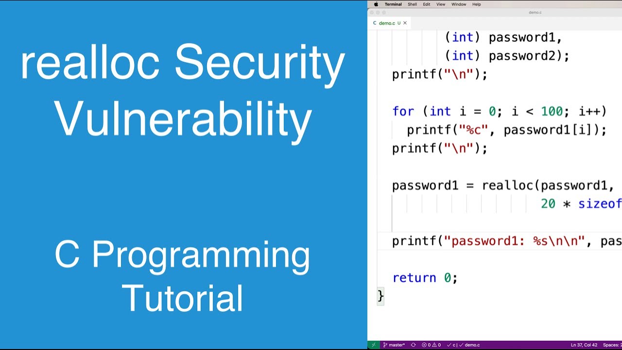 realloc Security Vulnerability | C Programming Tutorial