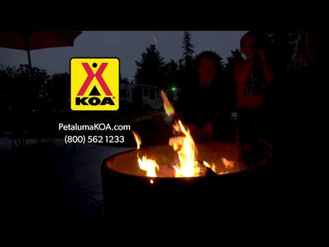 Amazing Family Campground and RV Resort at San Francisco North Petaluma KOA