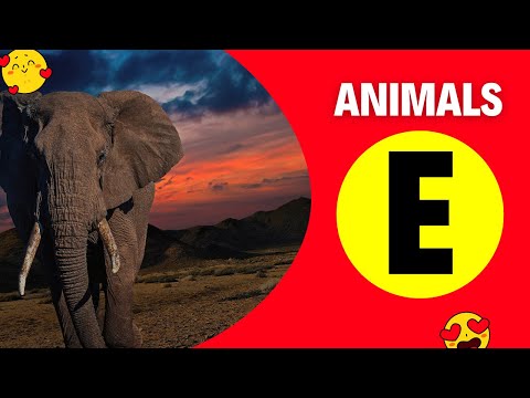 Animals Names Start With E Latter | Part - 5
