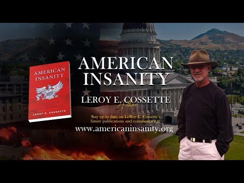 American Insanity by LeRoy Cossette | Publisher's Pick | ReadersMagnet