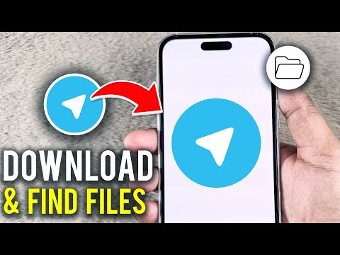 How to Download Files From Telegram & How to Find Downloaded Files