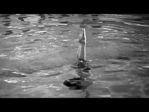 Alphaville - Jean-Luc Godard - 1965 - Pool scene