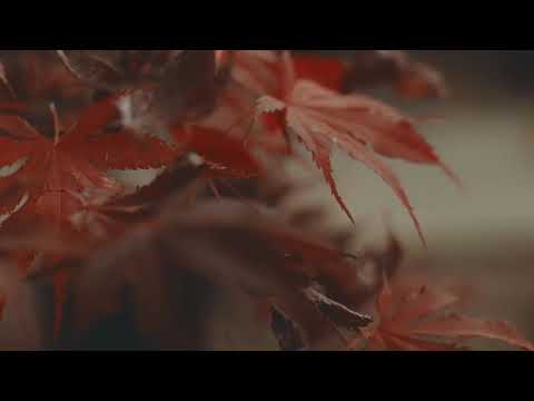 This are top Music of Juan Sánchez | Relaxing Piano Music | Study Music YouTube