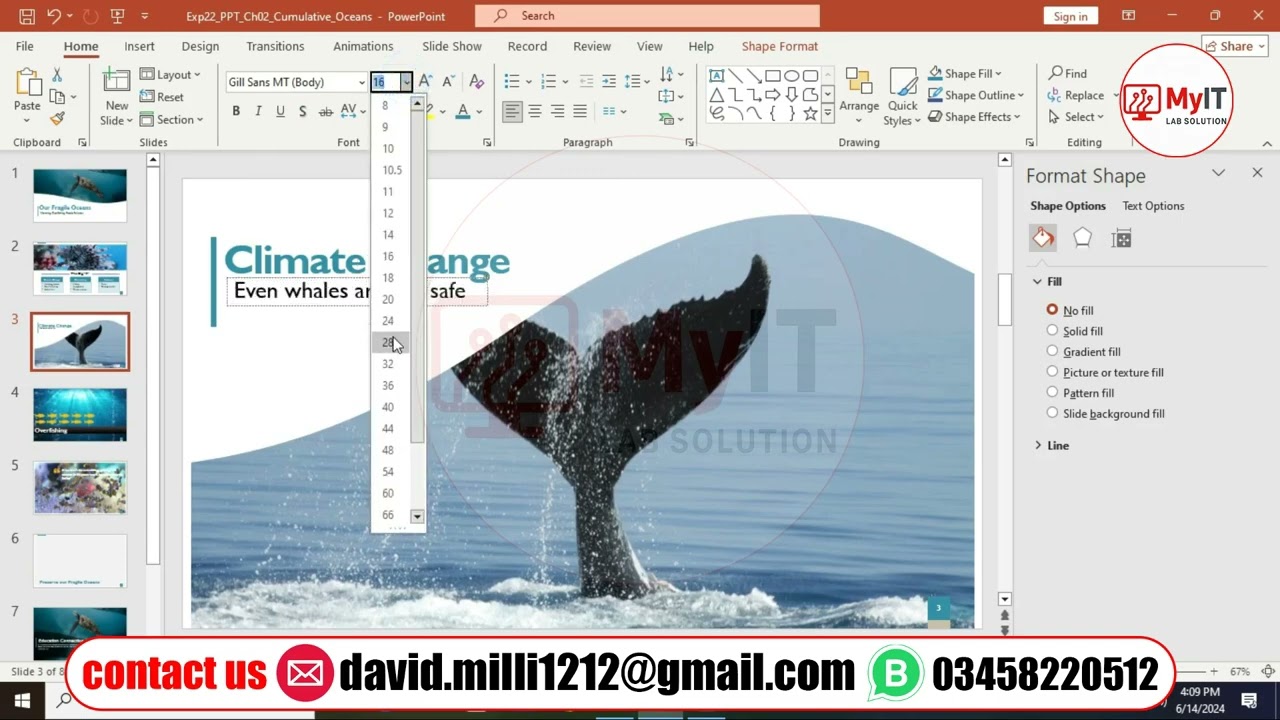 Exp22 PowerPoint Ch02 Cumulative Science Club