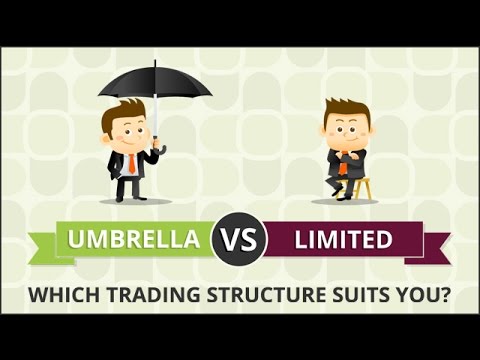 Umbrella or Ltd Company – Which Trading Structure is Right For You?
