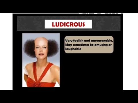 Ludicrous meaning - GRE word with sentences