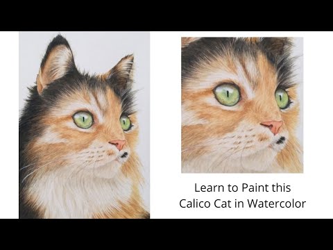 How to Paint a Realistic Calico Cat in Watercolor