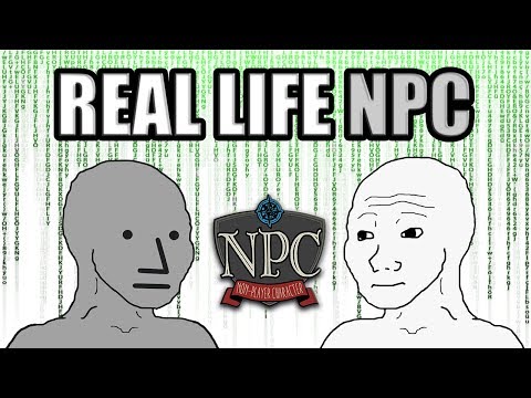 Do Real Life NPCs Exist? An Interview With a Real Life NPC Explained