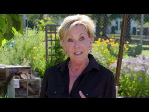 Educating for the Future - 2025 Food and Wine Award Winner