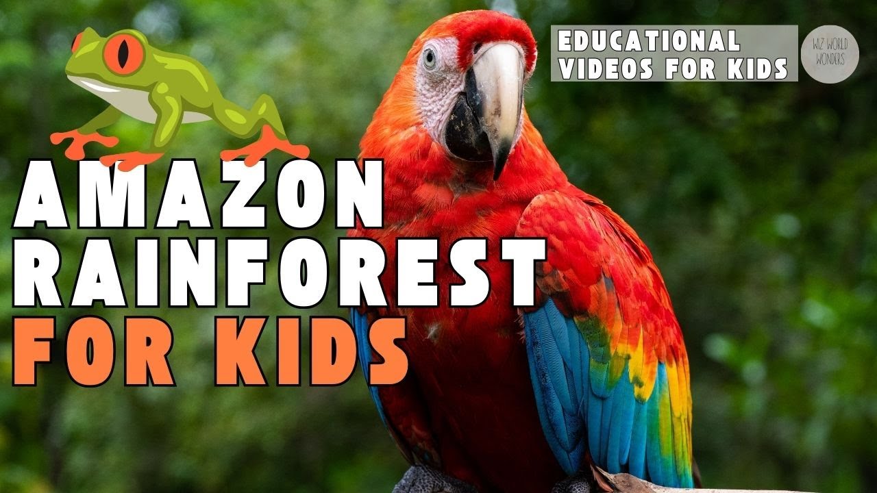 Amazon Rainforest for Kids | Educational Videos for Kids | Wiz World Wonders