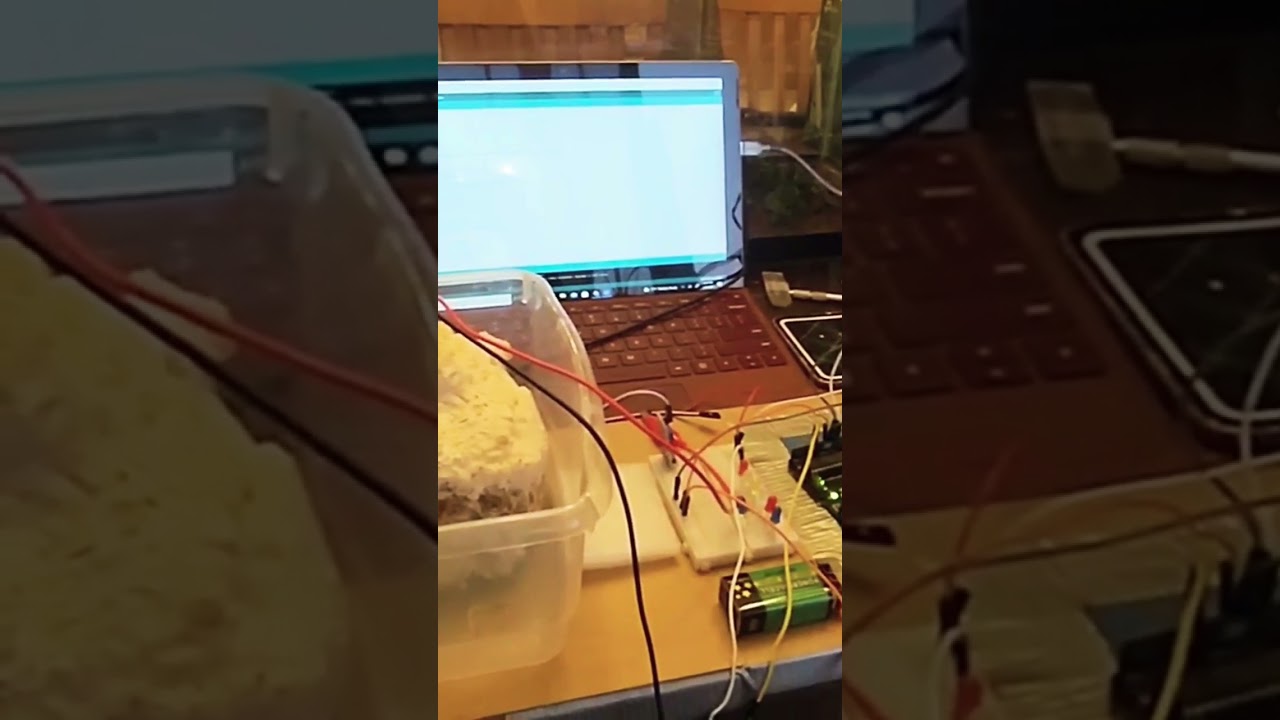 Connecting #Mushroom to #Computers #Science #Mycology #Biology #Bioinformatics #Fungi