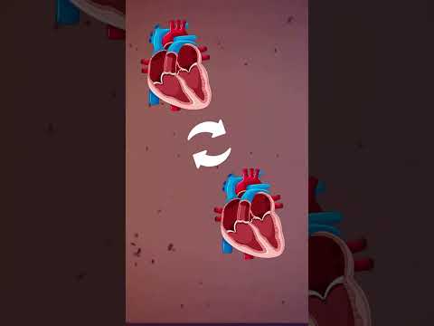 Importance of TAVI Procedures | Dr. Amit Bhushan Sharma | Cardiologist | Paras Hospital Gurgaon