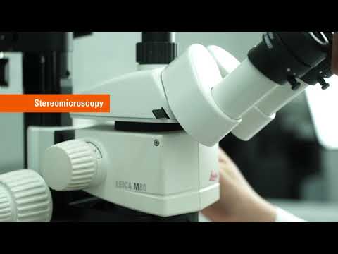 SGS Art Services – Scientific Analysis of Artworks and Condition Reports