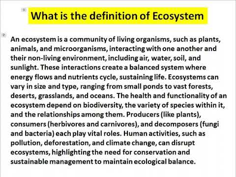 what is the definition of ecosystem