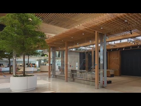 PHOTOS: PDX airport debuts ‘immersive, forest-like’ terminal Aug. 14