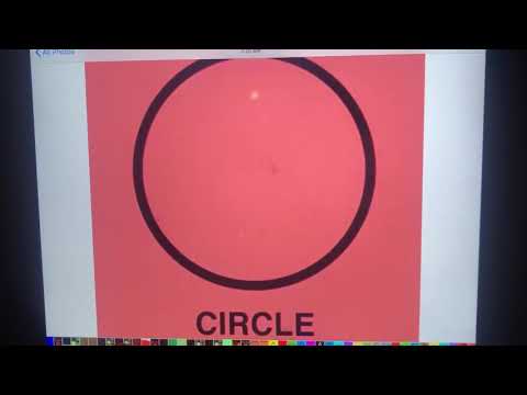 Have Fun Teaching I SHAPE SONGS DVD π