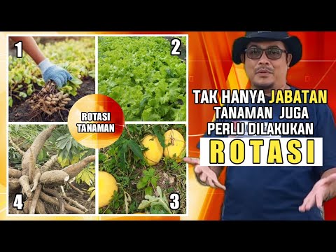 Tanamanpun Butuh Dirotasi Agar Memberi Hasil Optimal