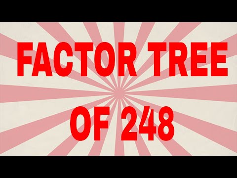 Factor tree of 248|Prime factor tree
