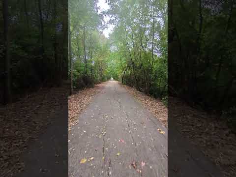 Springfield Illinois bike trail ♥️ #michaeljackson