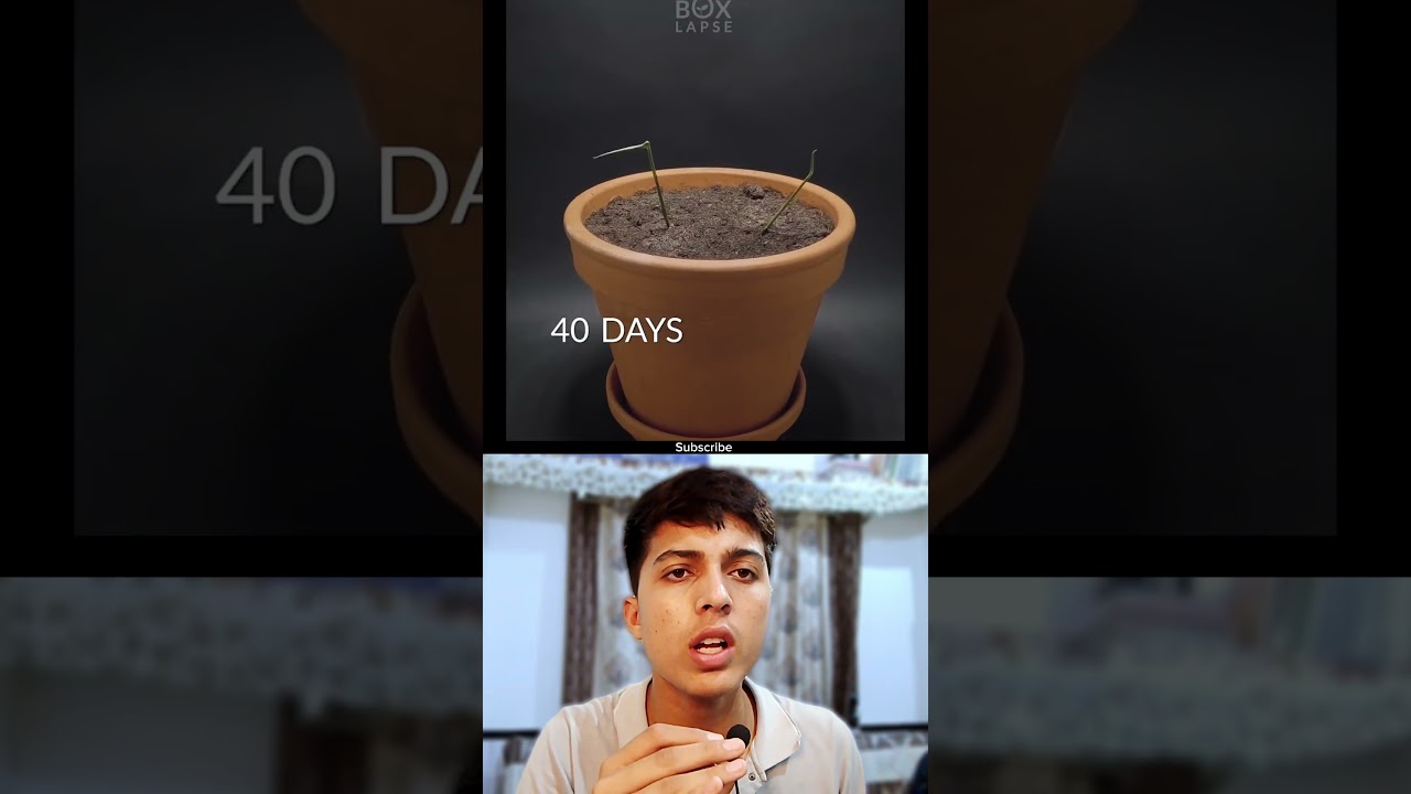 Ginger Root Time Lapse 🤯 #shorts