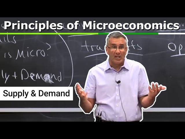 Understanding Microeconomics: An Introduction to Supply and Demand | Galaxy