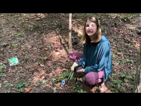 Week 3 - Forest Field Lab - Soil Temp and Moisture