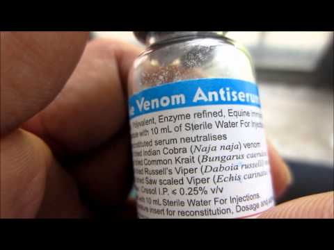 Anti Venom Injection - Anti Snake Venom Latest Price, Manufacturers ...