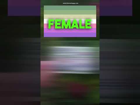 GENDERFAE | Pride flag meanings in 30 seconds or less #genderfae #genderdoe #genderfluid #genderfaun