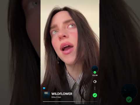 Billie Eilish - Spotify Wrapped 2024