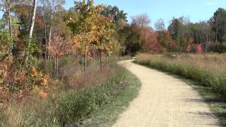 3 Best Hiking Trails in Cambridge, MA - Expert Recommendations