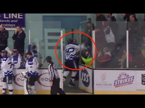 English Hockey Player PUNCHES a Fan, Has Contract Immediately Terminated