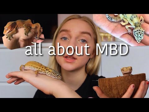 All About MBD In Reptiles - Everything To Know About It!